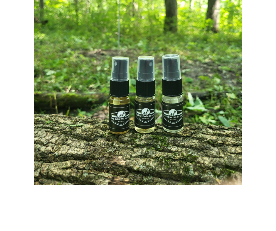 Frequently Asked Questions – BuckStik