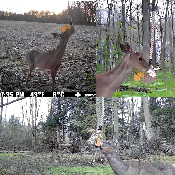 BuckRope® – BuckStik