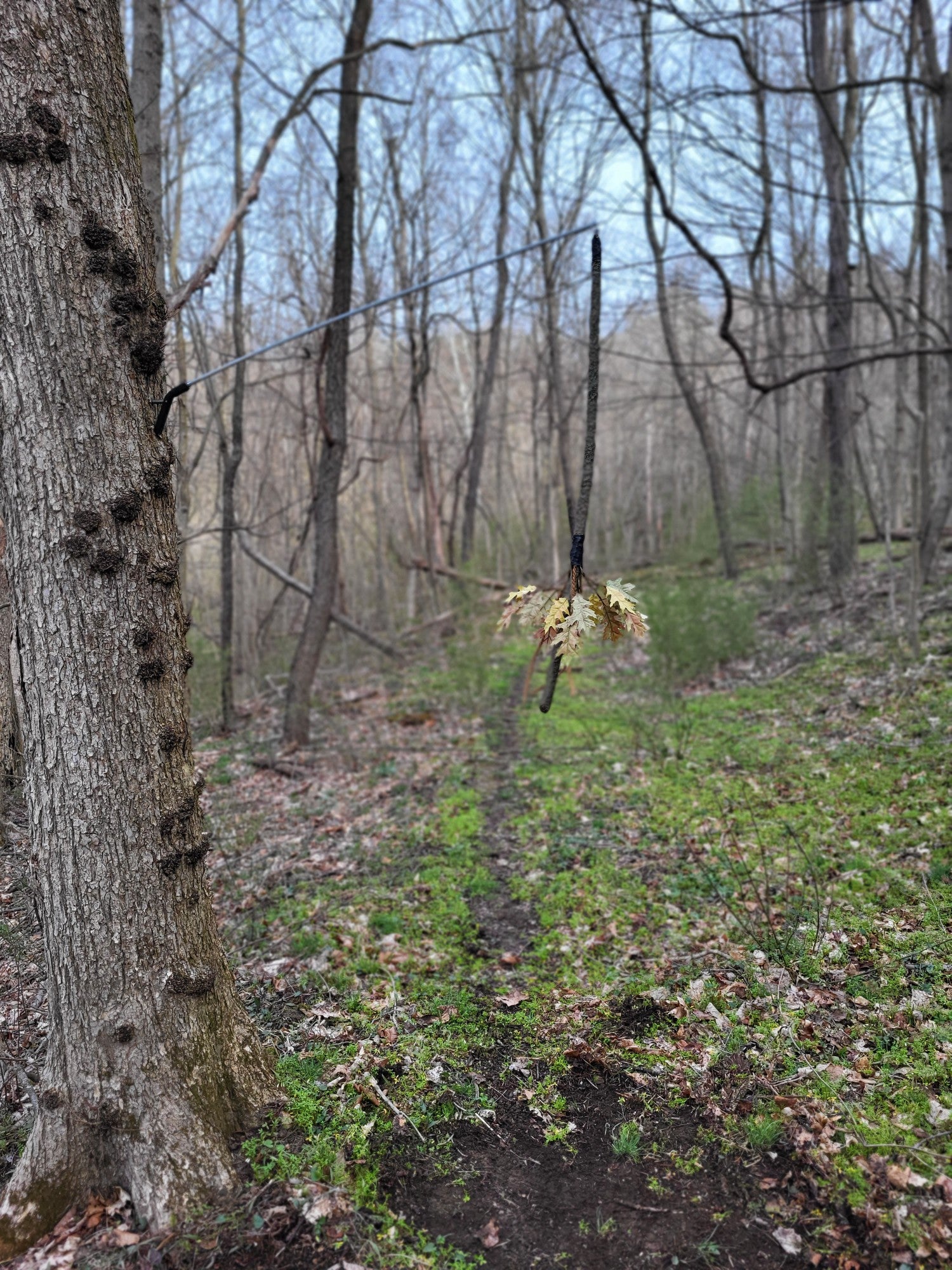 BuckVine - Elite Hunting Communication LLC