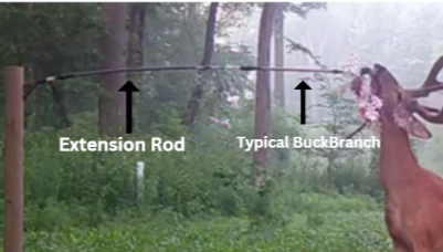 BuckBranch - Elite Hunting Communication LLC